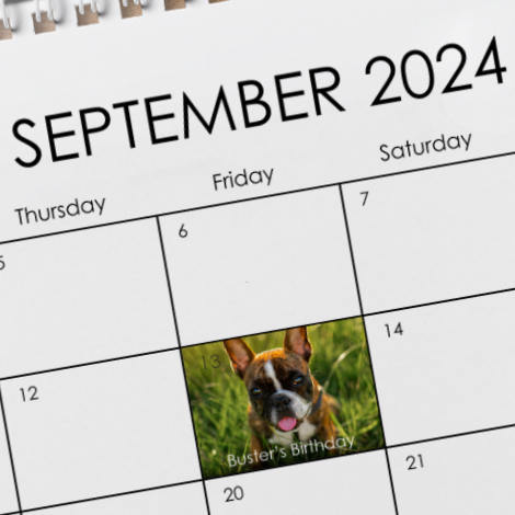 Calendars | Shutterfly CA